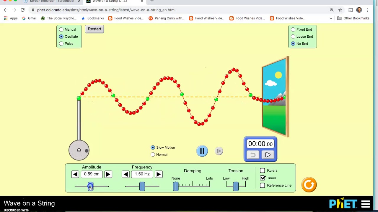 PhET Waves Simulation Overview - YouTube