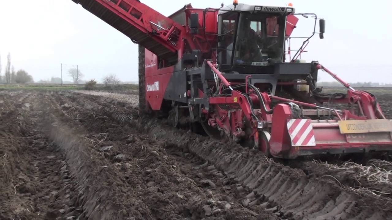 Dewulf Kwatro - 4-row self-propelled potato harvester - YouTube