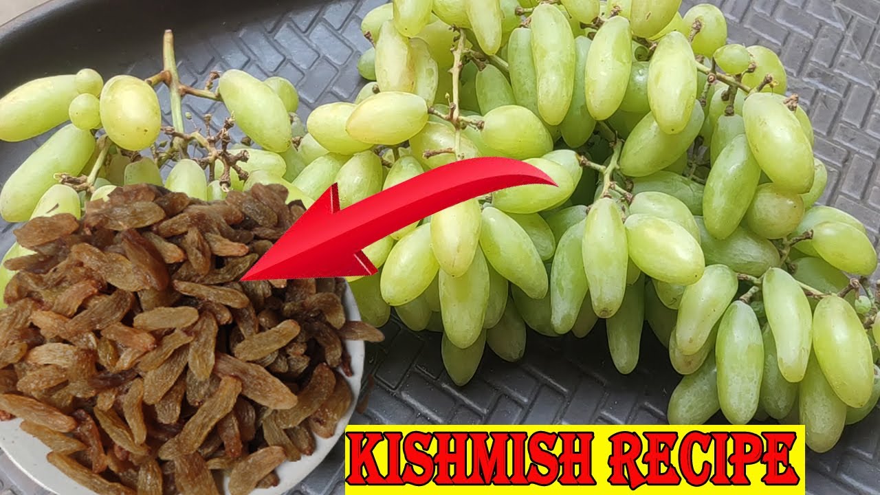 "Delicious Homemade Kismish (Raisins) Recipe - How to Make Raisins from ...