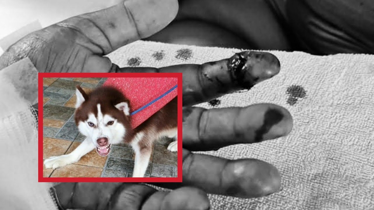 ASONG PUMUTOL NG DALIRI PART 2 - YouTube