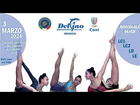 TYCHE A.S.D. INDIVIDUALE SILVER LC1 LC2 LD LE - YouTube