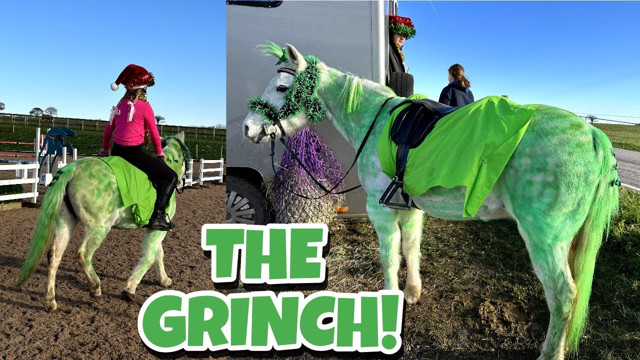 TURNING MY PONY INTO THE GRINCH? - CHRISTMAS SHOWJUMPING VLOG - YouTube