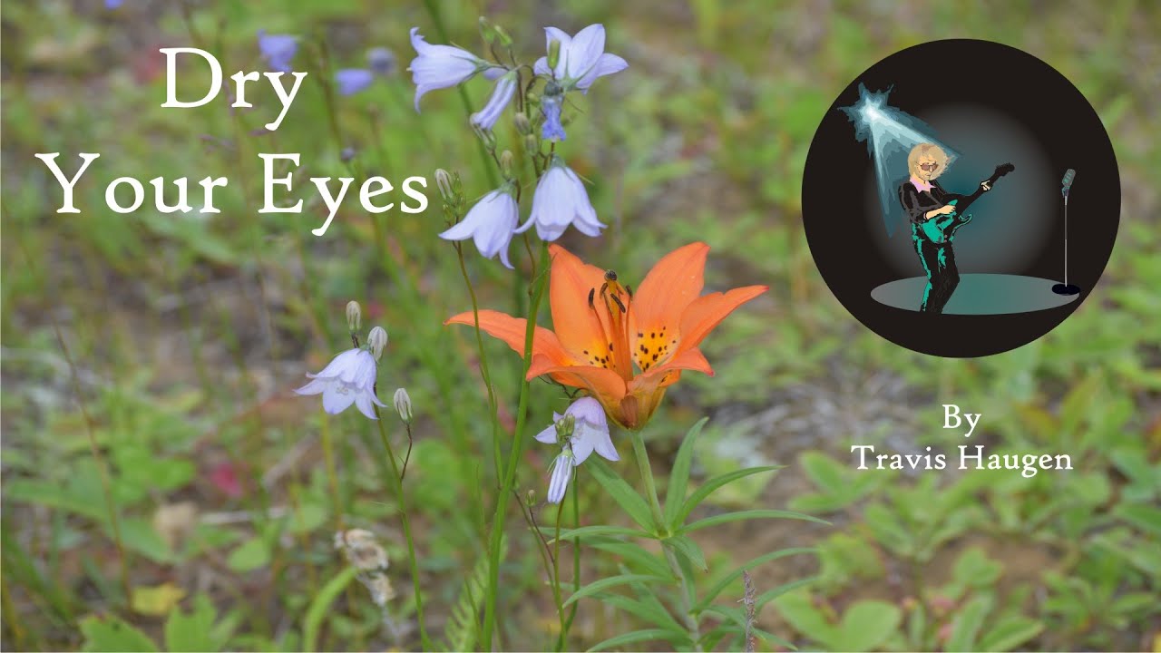 Dry Your Eyes (Official Music Video) - A song of optimism - YouTube