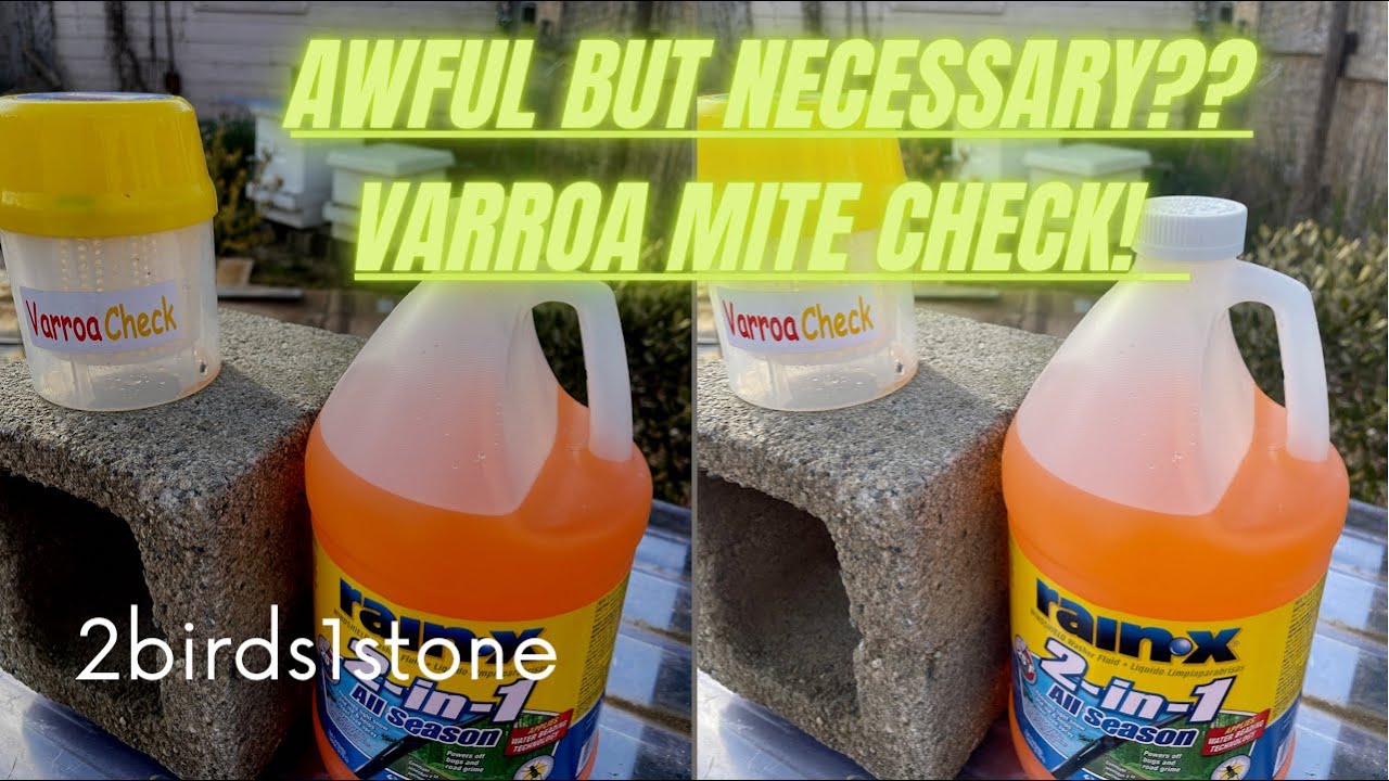Washer Fluid Varroa Mite Check. The, "Hard Right" For Beekeeping ...