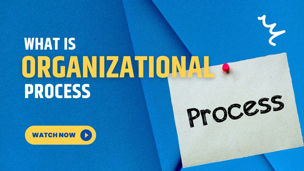 What is Organizational Process | Principles of Management - YouTube