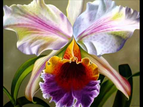 BENJAMIN MARES MENDOZA ¡NO TE RINDAS! - YouTube