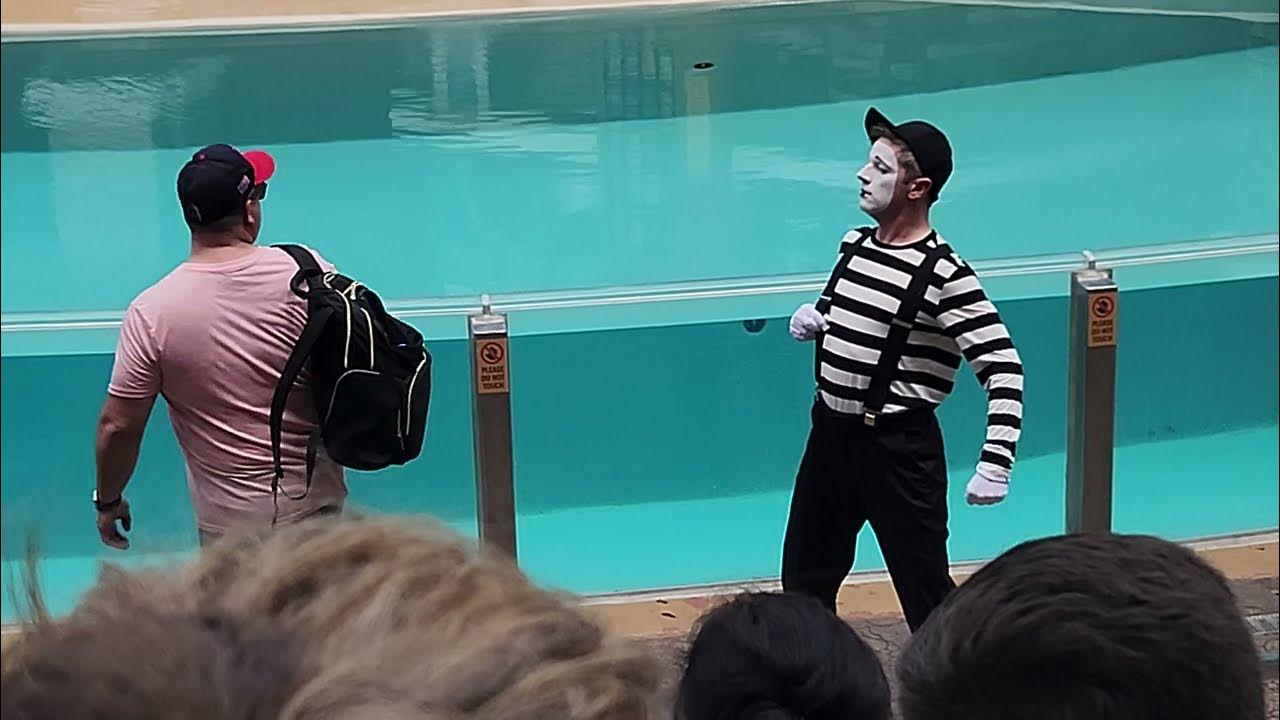 Seaworld Mimes Strike Again Youtube