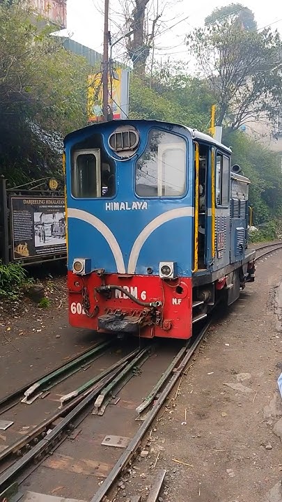 Darjeeling Himalayan Rail #shorts - YouTube