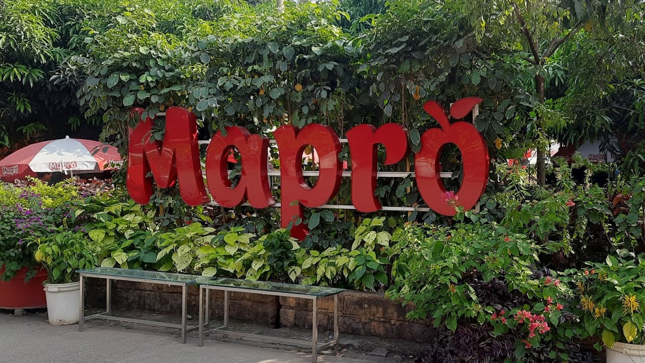 Visit To Mapro Garden# Satara Wai Road#nature lover - YouTube