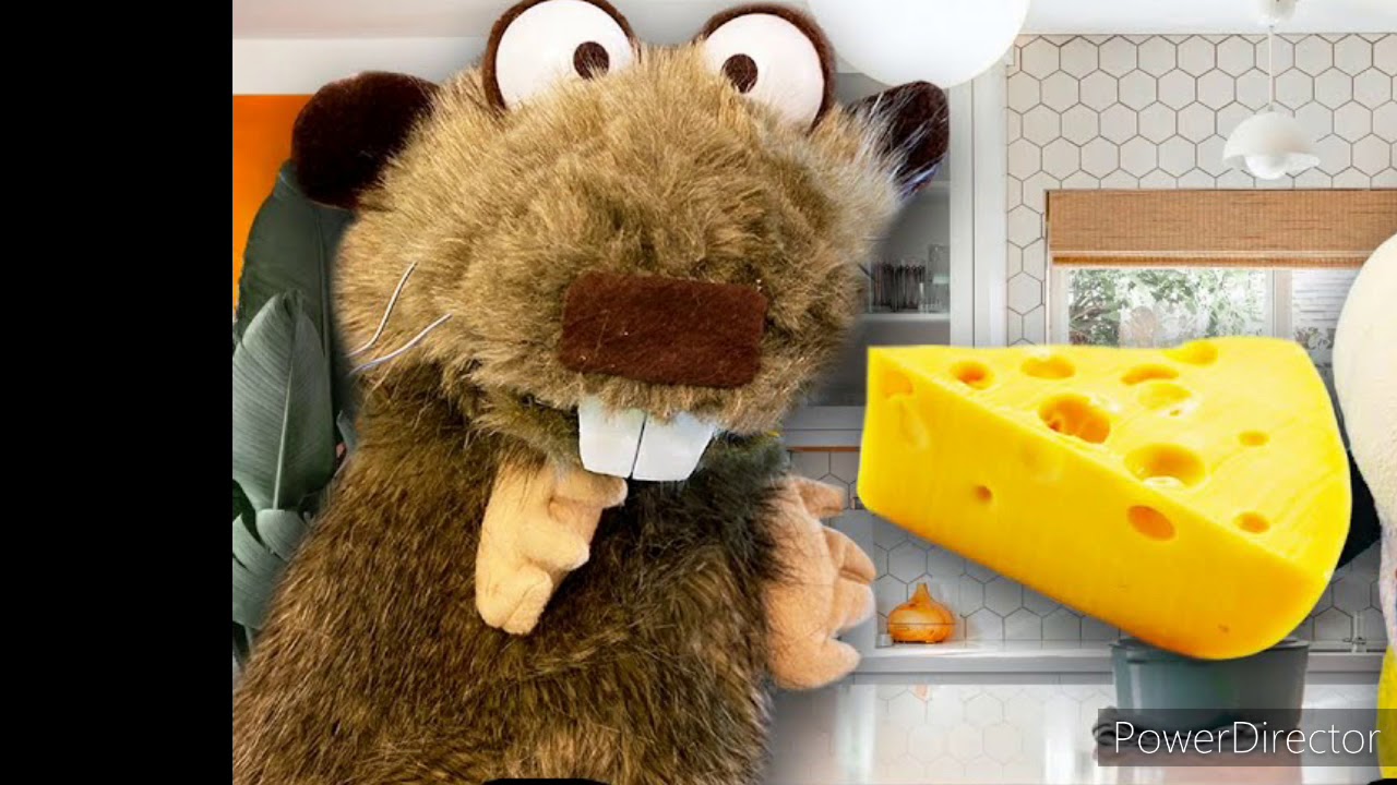 Rat sml theme - YouTube