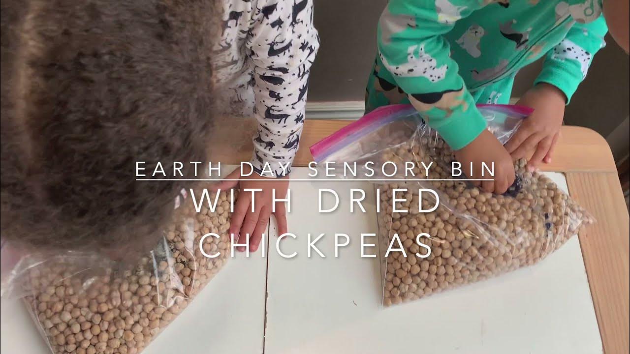 Earth Day Sensory Bin Chickpeas - YouTube