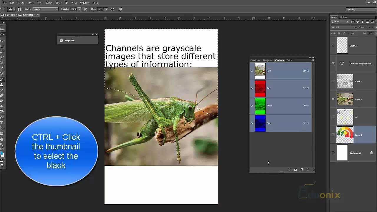Adobe Photoshop Tutorial 35 - Color, Alpha and Spot Channels - YouTube