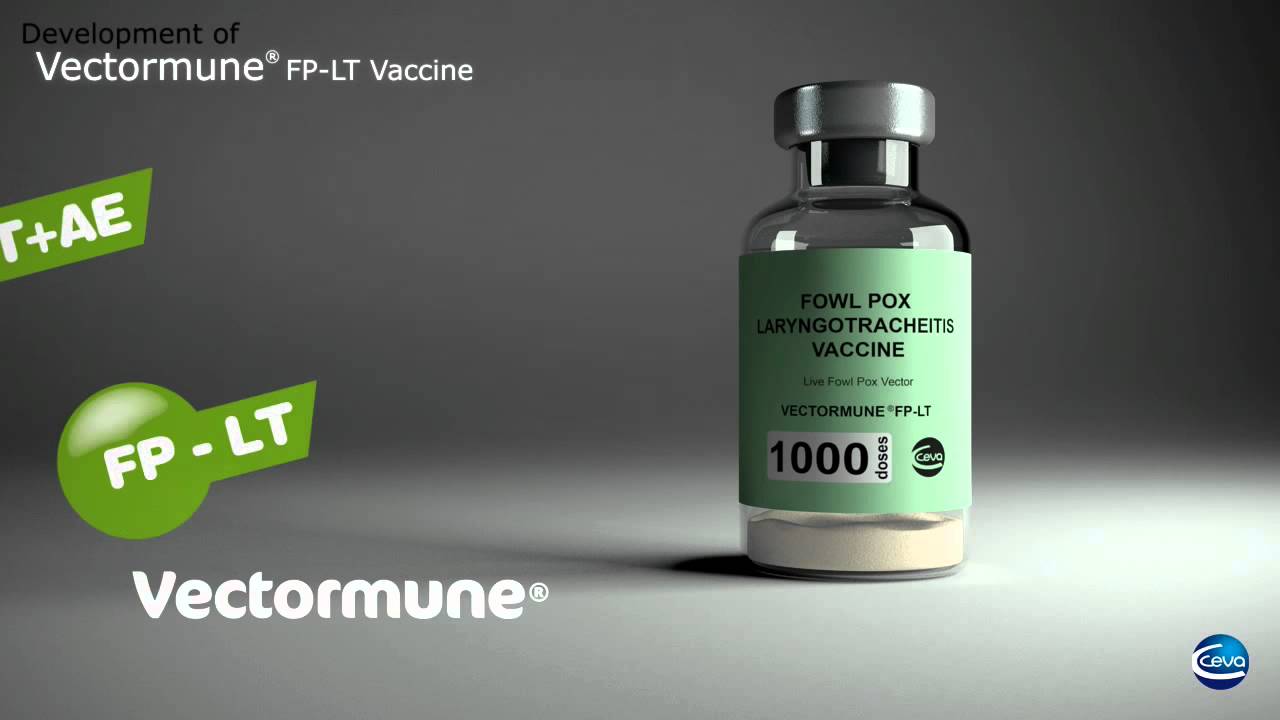 Ceva vectormune FPLT - YouTube