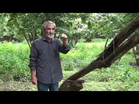 Azerishiq.az Zaqatala rayon Muxax kəndində