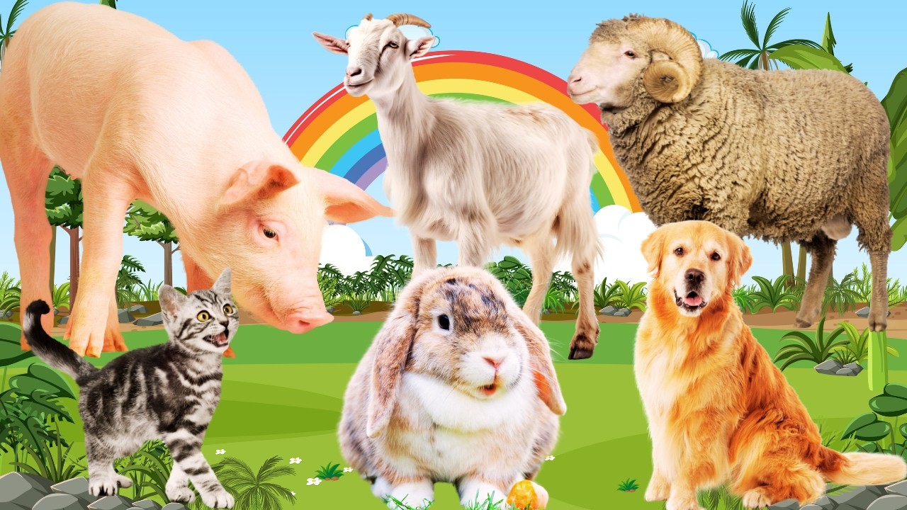 farm sounds | wild animal sounds and names : pig sounds, goat sound ...