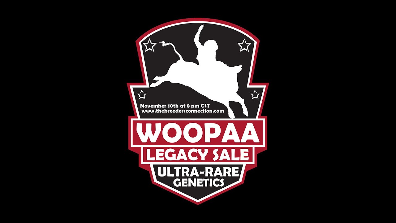 WOOPAA LEGACY SALE - NOV 10, 2021 - YouTube