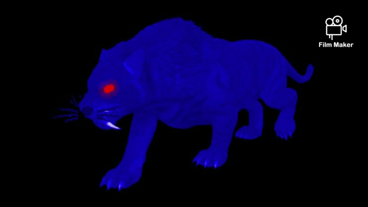 Boomerang Cat Monster Tiger's Family This is for Diogo Josino - YouTube