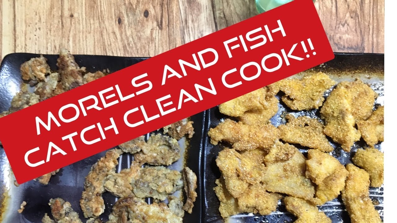 Creek fishing and how to cook morels & fish! - YouTube