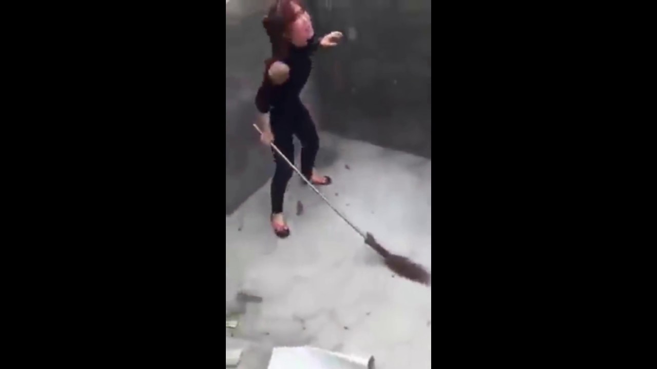 Chica Peleando con Rata | Girl Fighting with Rat - Viral - YouTube