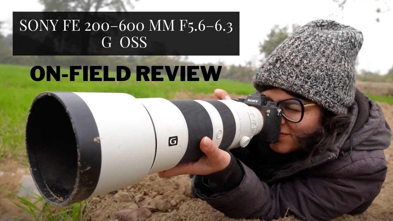 Sony FE 200 600 Mm F5 6 6 3 G OSS Review Field Test YouTube