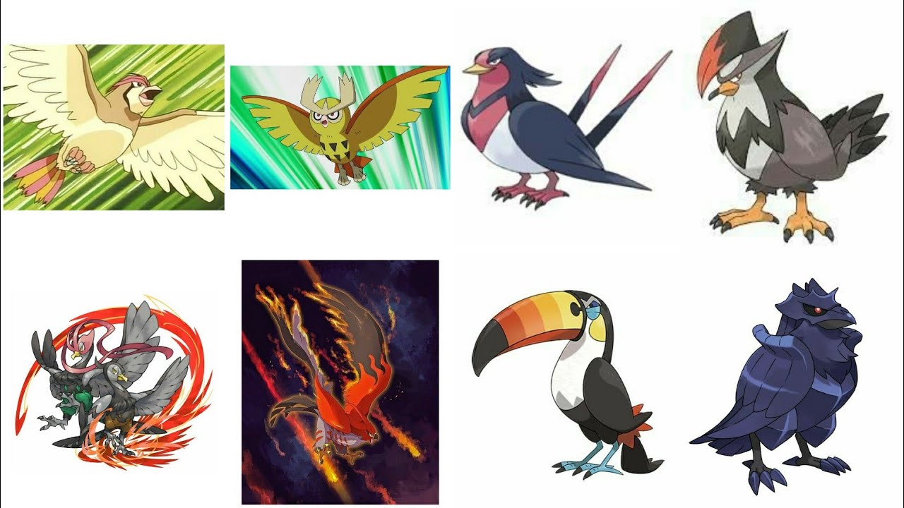 Thông tin về những Pokemon chim bản địa/TCT TV - YouTube