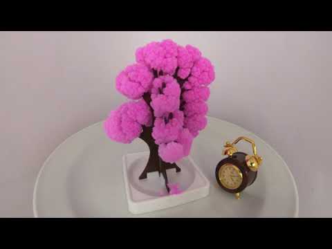 "Magic Crystal Tree" timelapse - YouTube