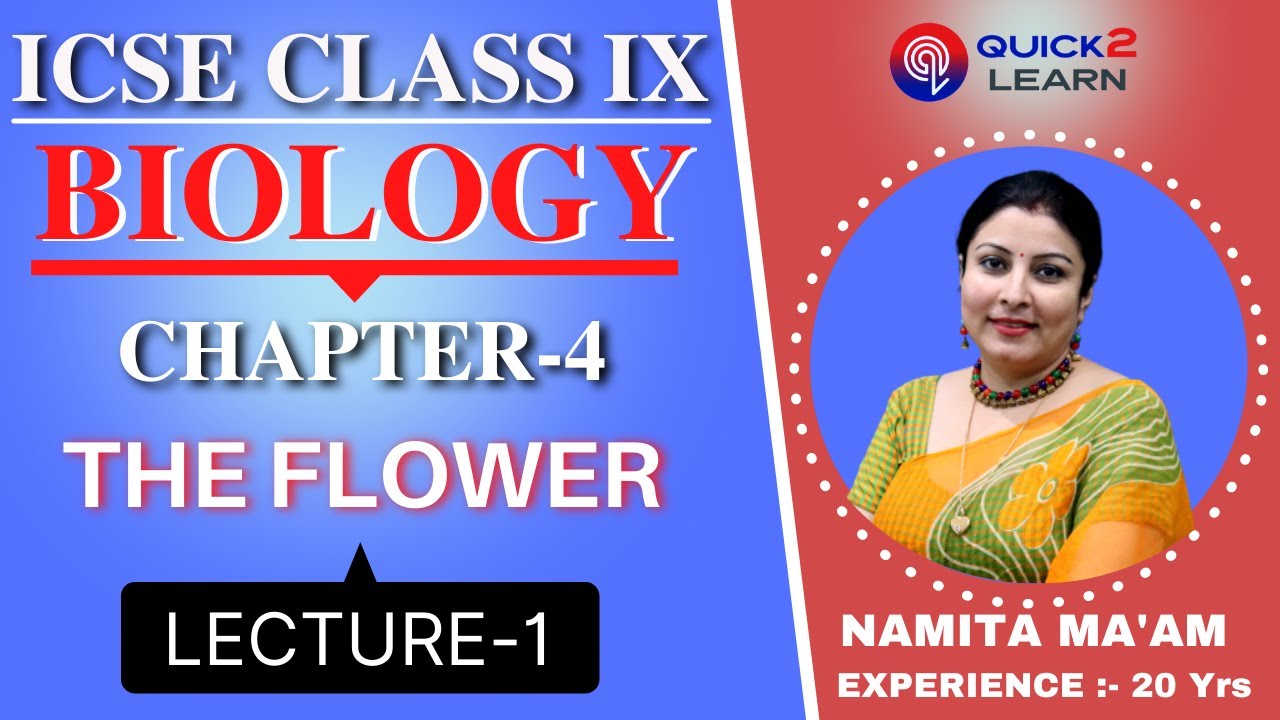 ICSE IX BIOLOGY CH-4 (THE FLOWER) |icseclassixbiology|icse9biology ...