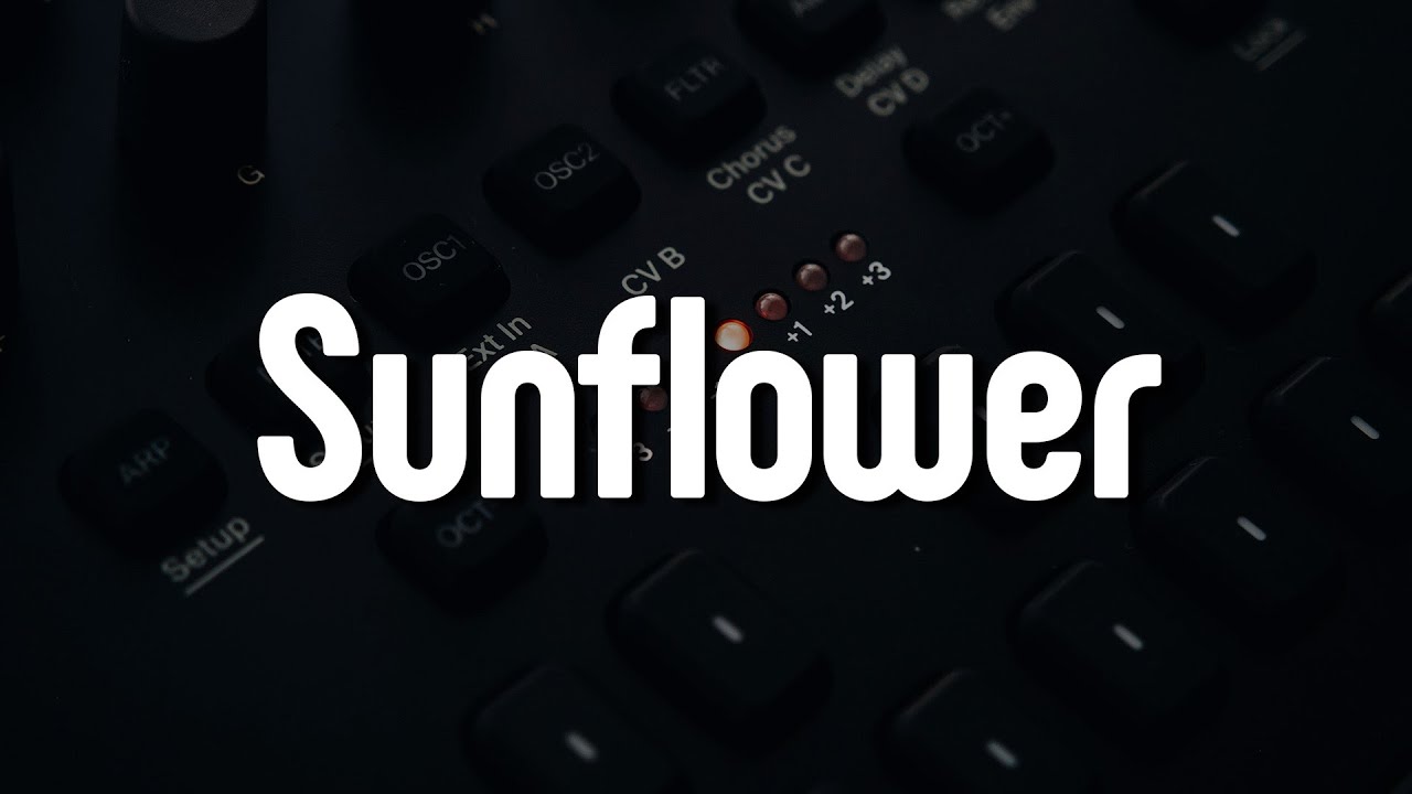 Post Malone, Swae Lee - Sunflower (Letra/Lyrics) | Official Music Video ...