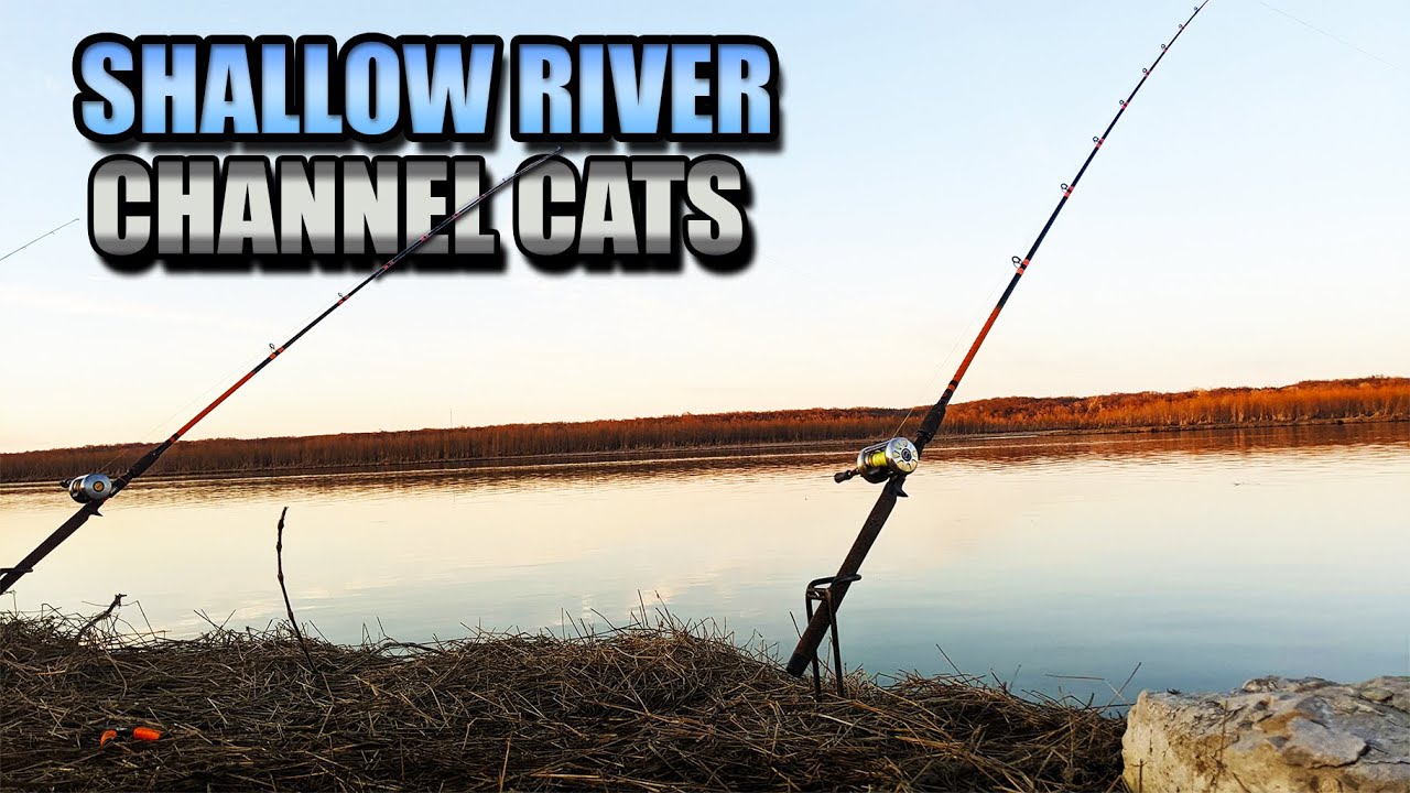 Shallow River Fishing for Fat Channel Catfish - YouTube