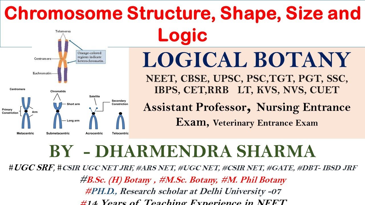 Chromosome Structure ll Shape ll Size and Logic - YouTube