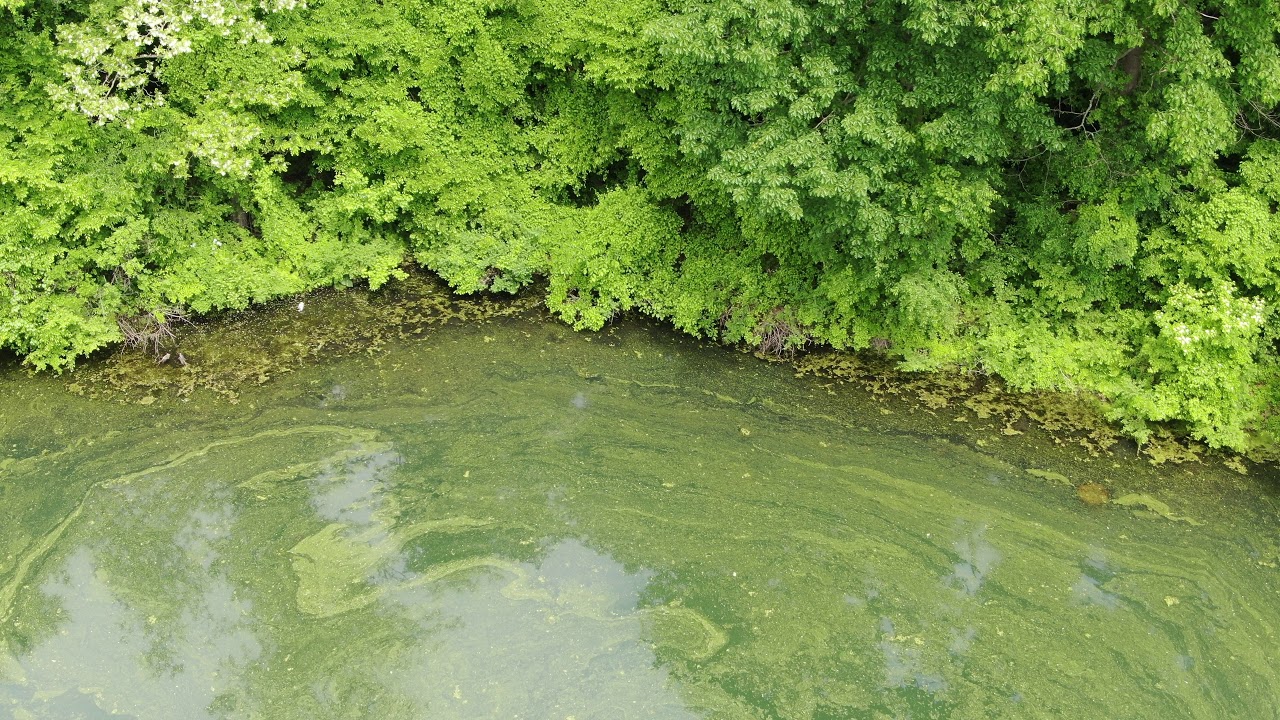 DJI Mavic 2 Zoom at the pond using the zoom. - YouTube