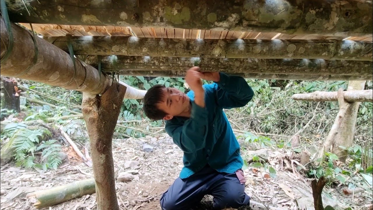 Build a bamboo house! Experience life in the wild in the jungle alone ...