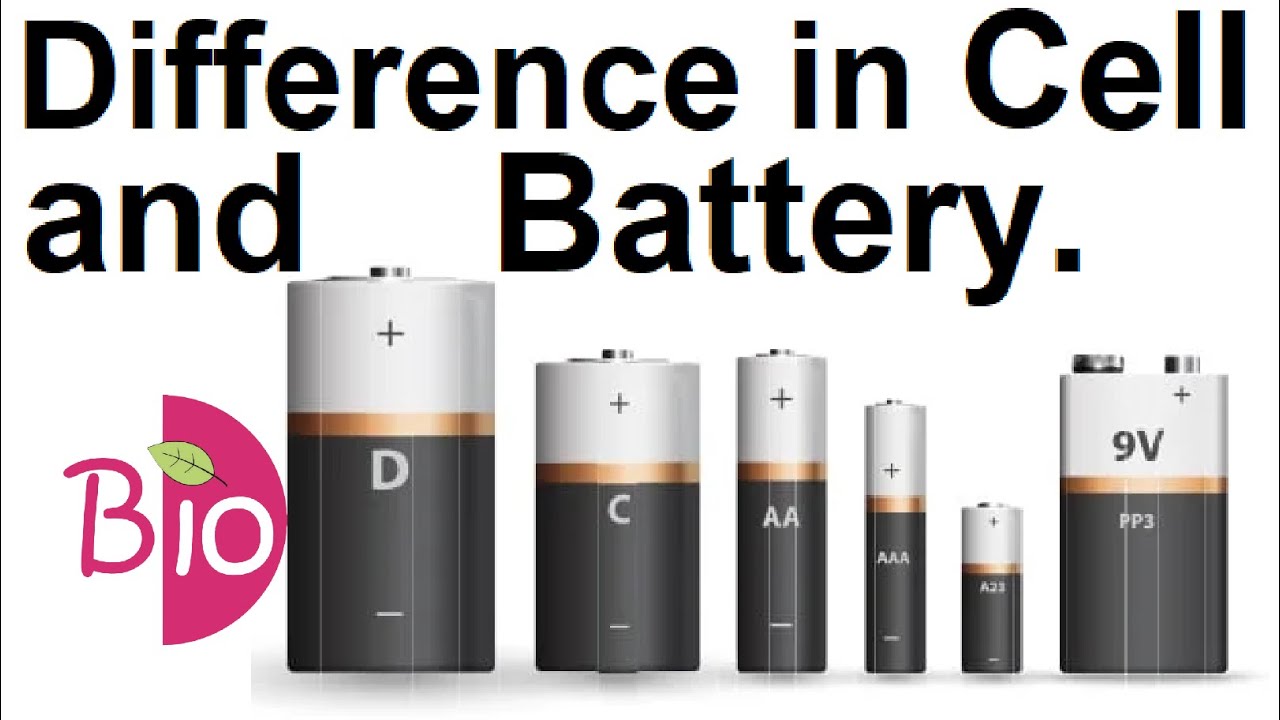 What is the difference between Cell and Battery? by Simply The Best BIO ...