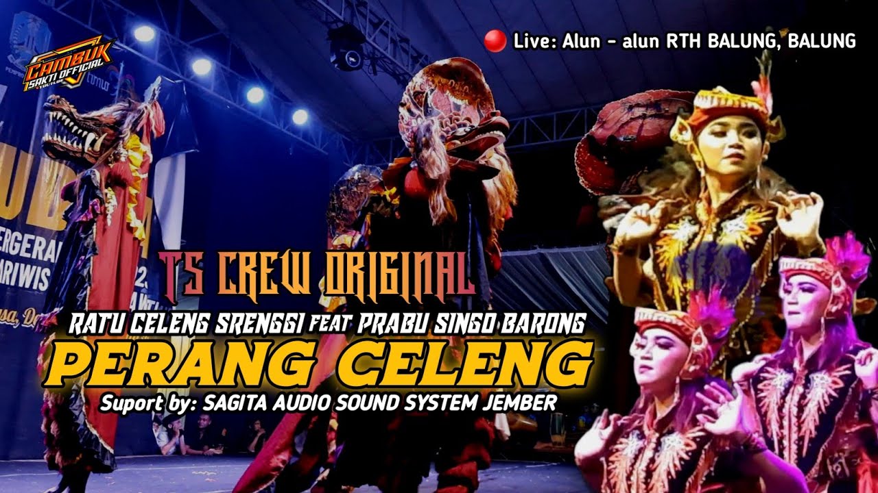 Terbaru‼ Perang Celeng TS CREW ORIGINAL Ratu Celeng Srenggi FT Prabu Singo Barong Live BALUNG ...