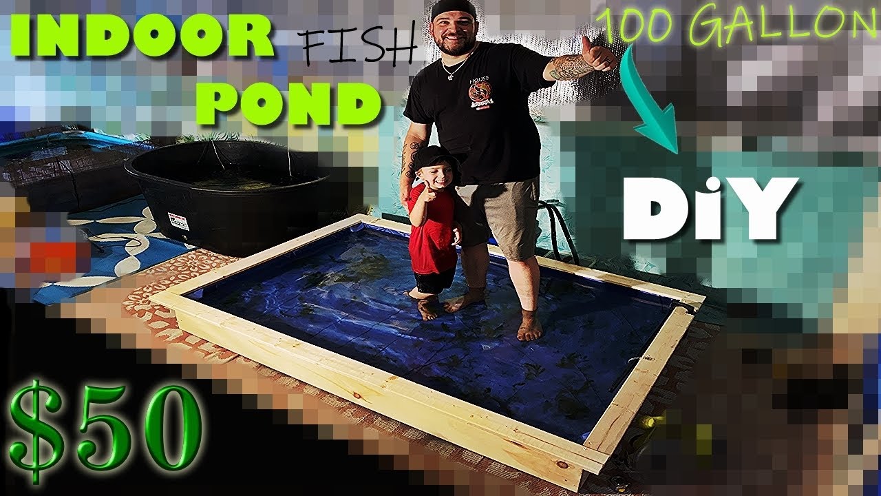 $50 DIY FISH POND (INDOOR WOODEN POND) - YouTube