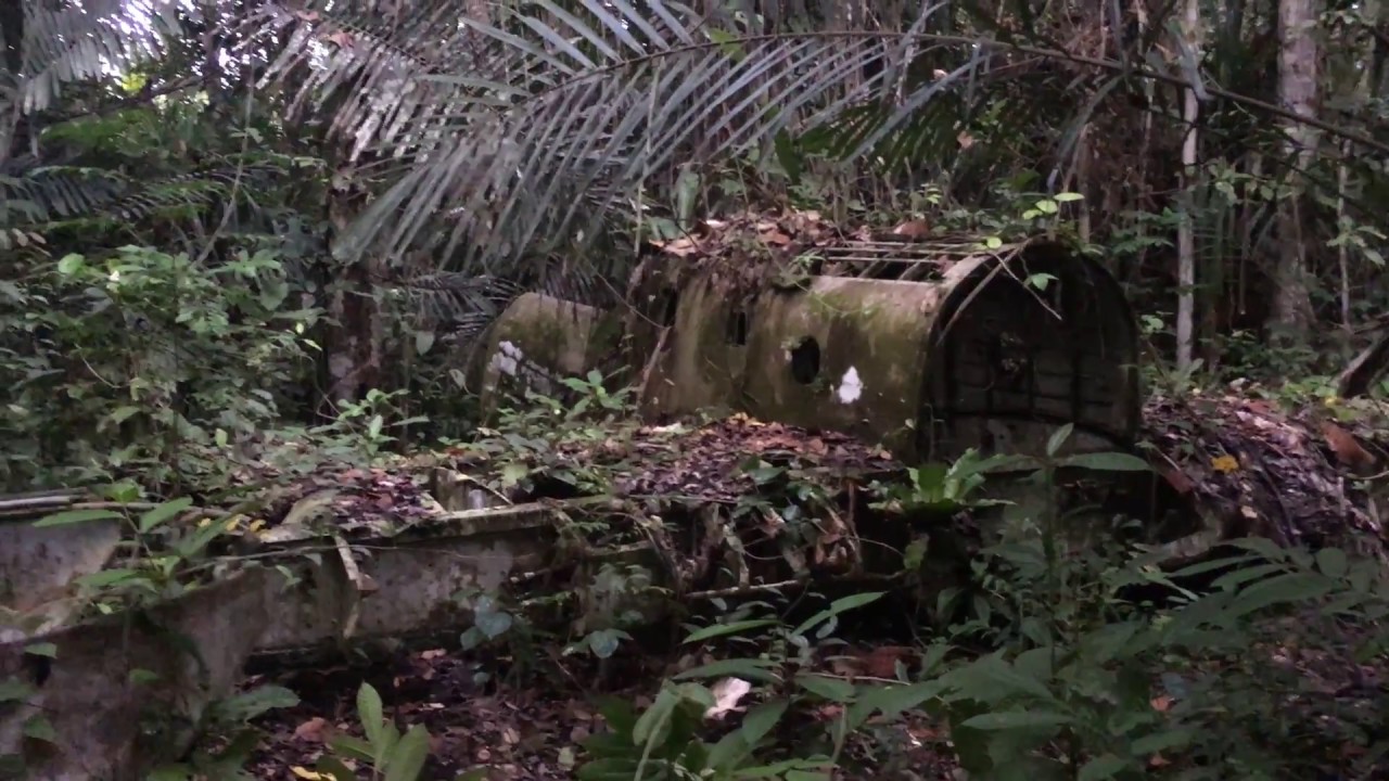 WWII aircraft in jungle outside Aitape, Papua New Guinea - YouTube