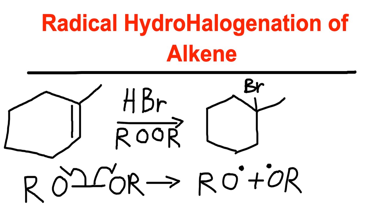Radical Hydrohalogenation of Alkene - Anti-Markovnikov - Organic ...