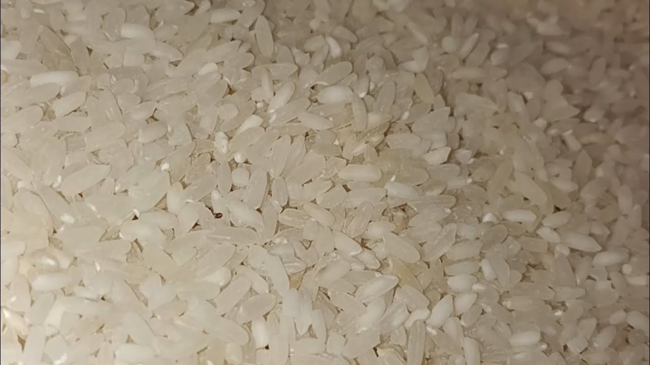 Satisfying Sound Pouring Raw Rice || Rice Sound play @SoundAsmr-oi6pg # ...