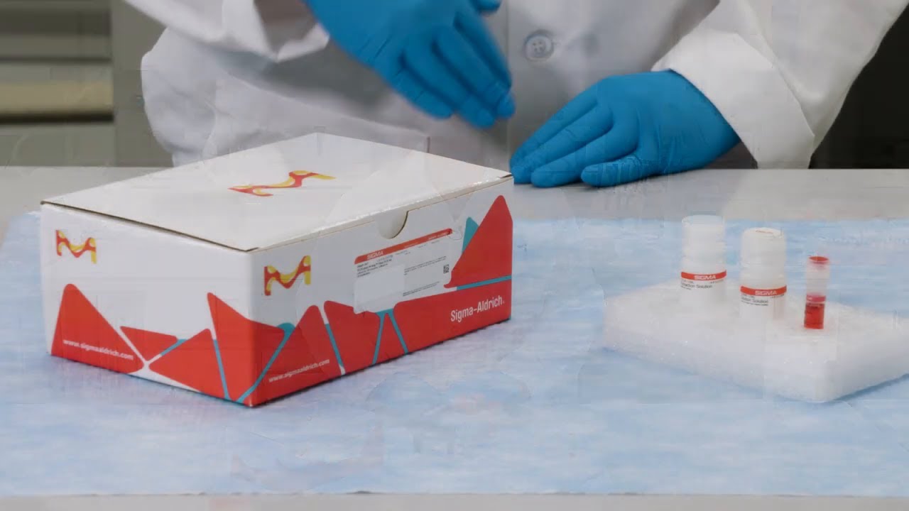 An Introduction to REDExtract-N-Amp™ PCR Kits - YouTube