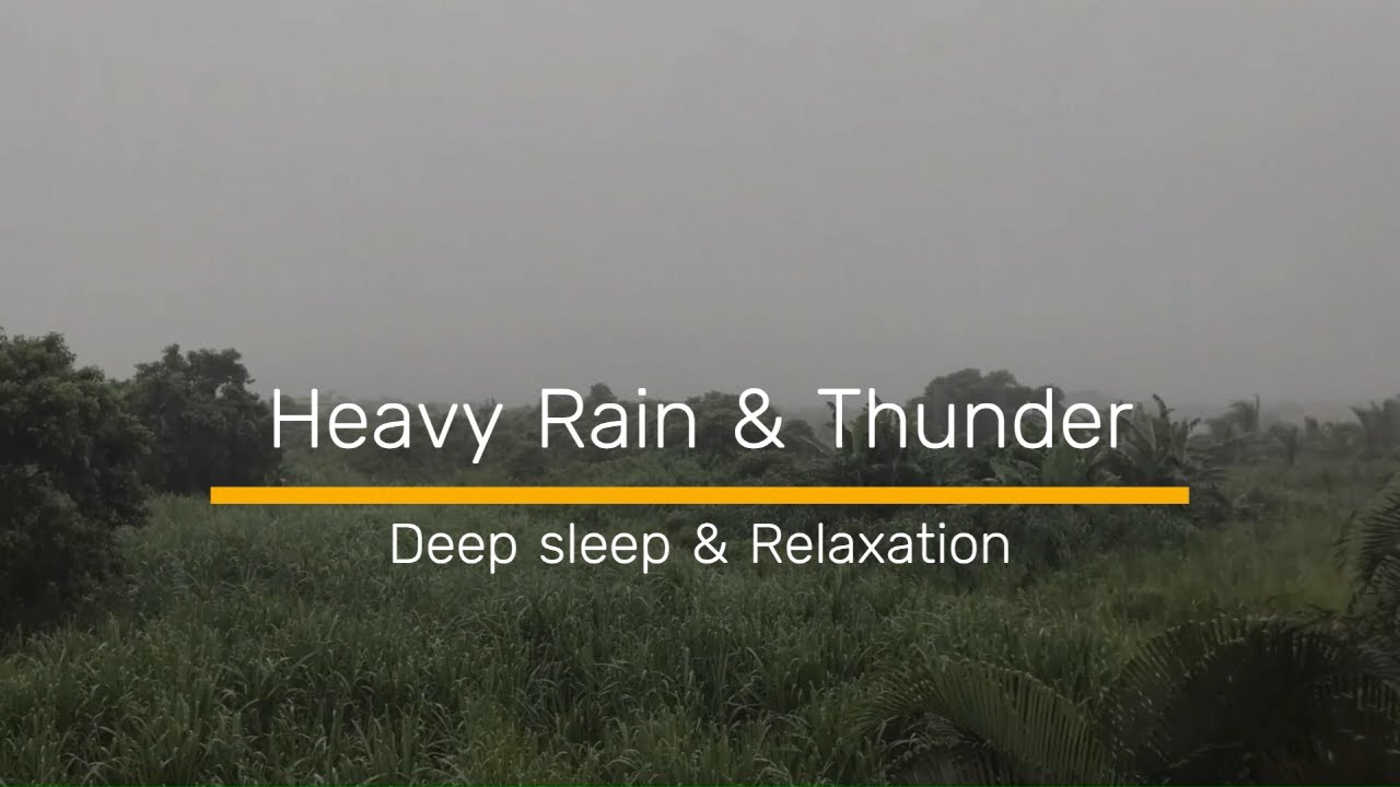 Heavy rain & Thunder for sleeping/deep sleep &relaxation - YouTube