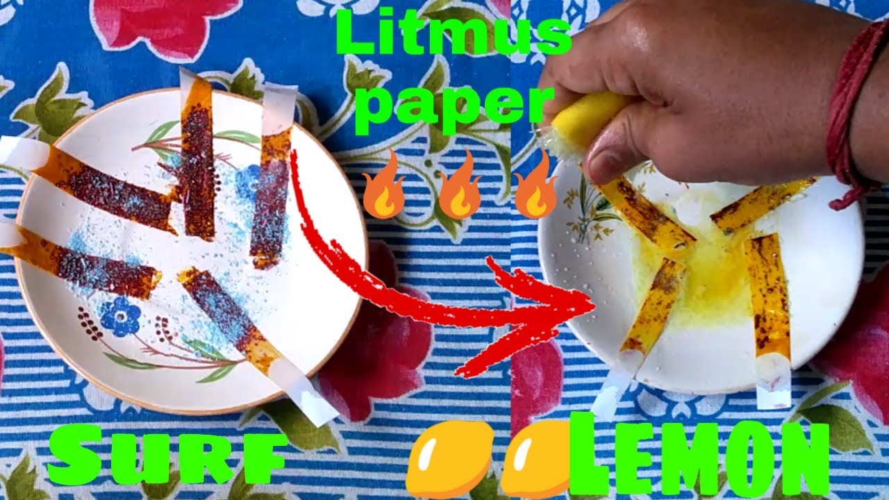 How To Make Litmus Paper At Home Experiment In Hindi YouTube how-to-make-litmus-paper-at-home-experiment-in-hindi-youtube