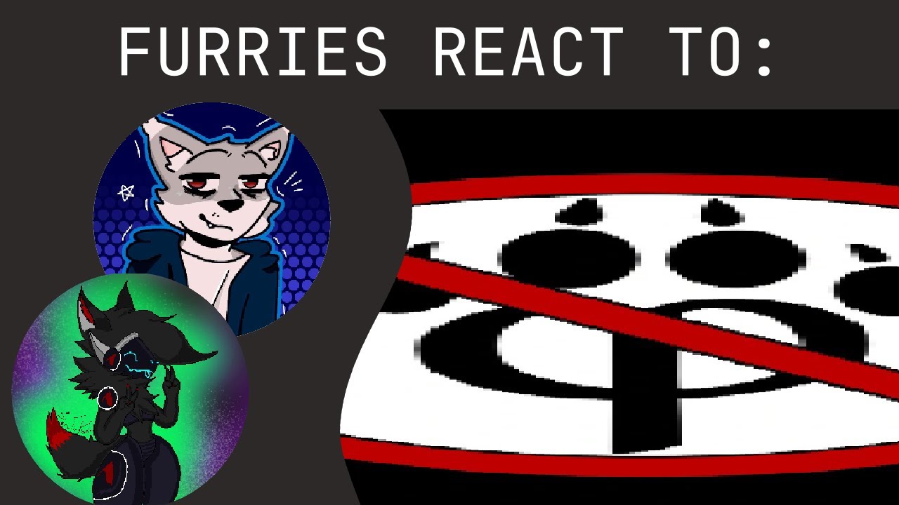 Furries react to Anti Furry memes - YouTube