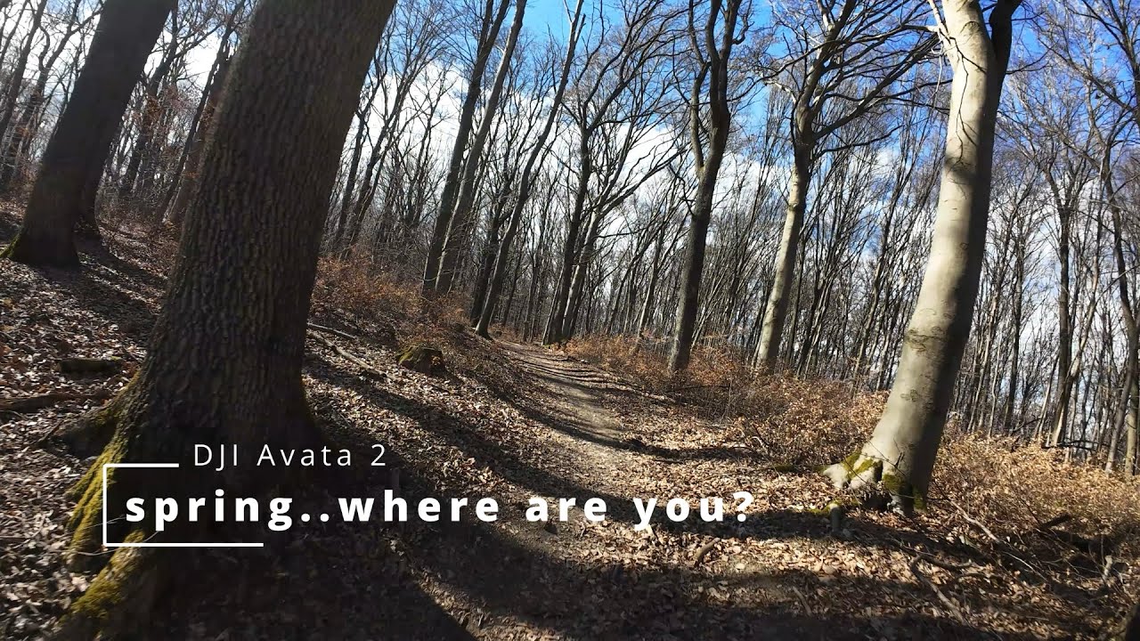 spring..where are you? - DJI Avata 2 - YouTube