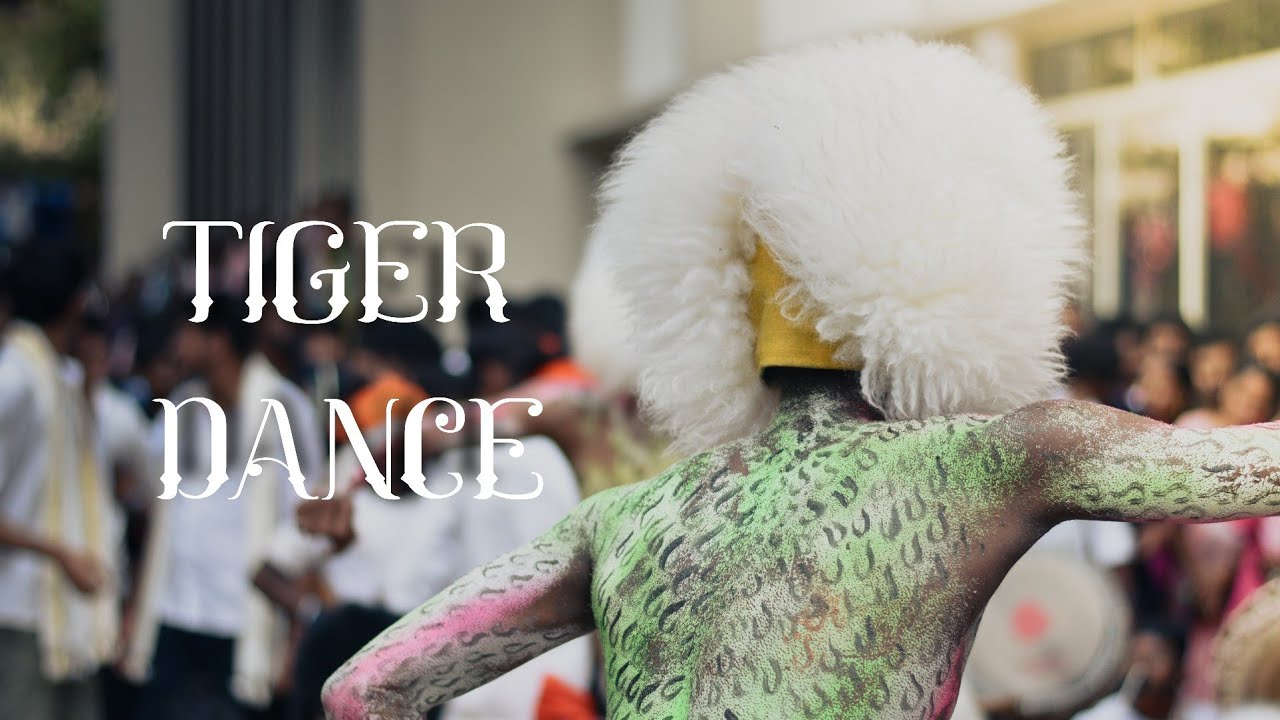 The Tiger Dance - Cinematic Video - YouTube