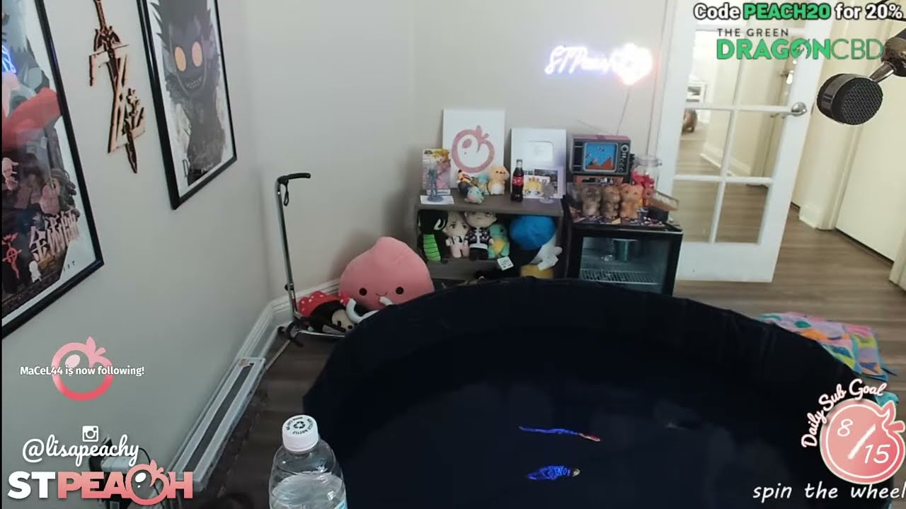 HOT STREAM STPeach - YouTube