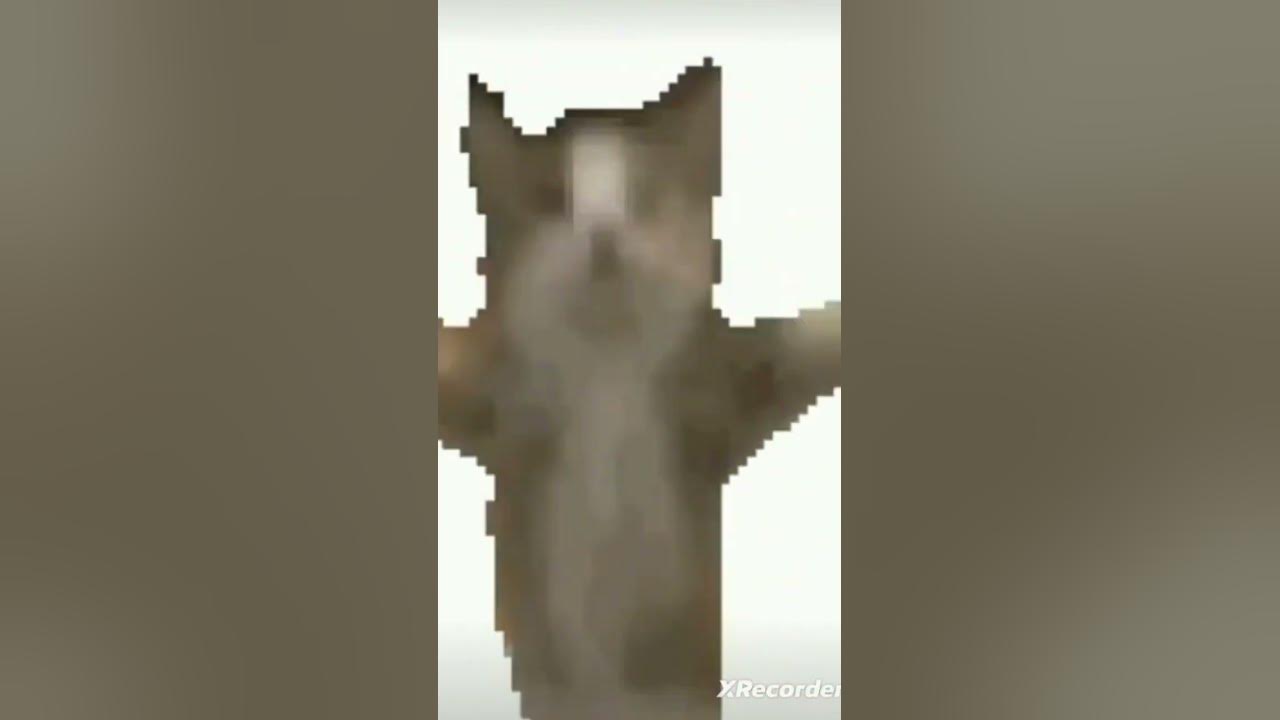 Шни шна шнапи шнапи шнапи шнапи - YouTube