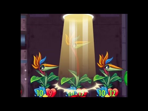 The Bird of Paradise is having strikethrough and non-stoppable powers ...