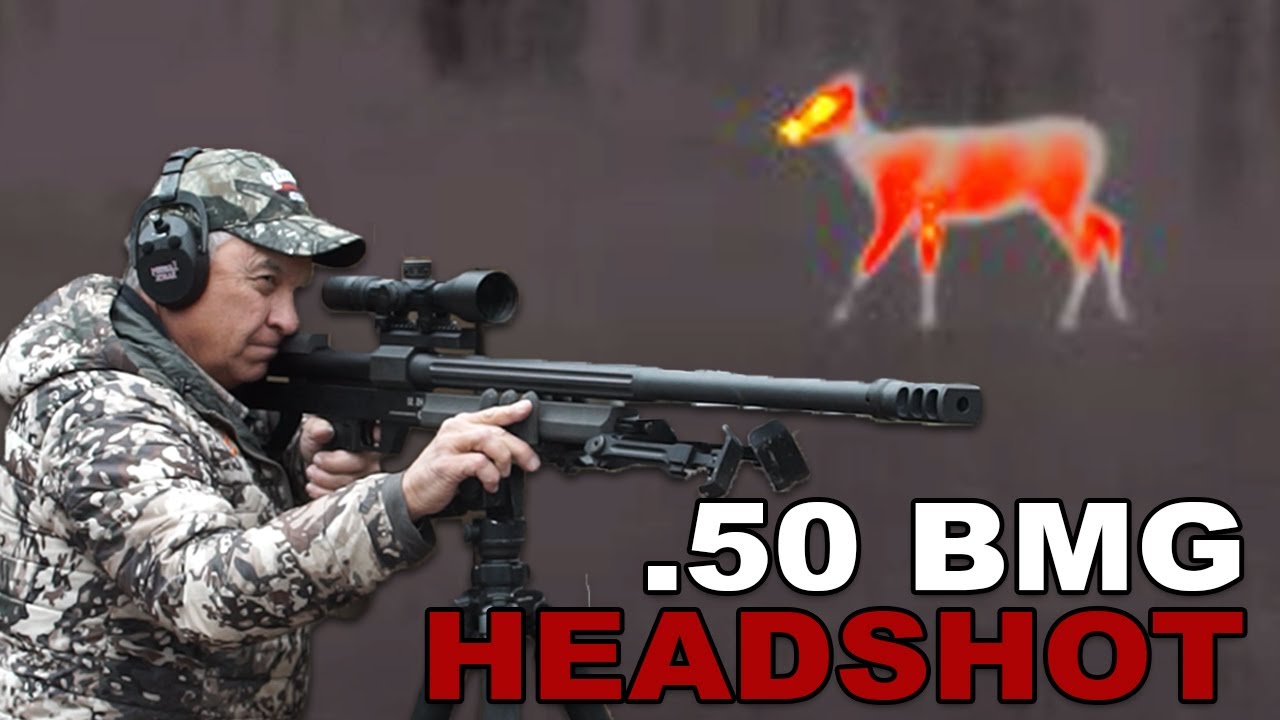 .50 BMG HEADSHOT on Deer! - YouTube