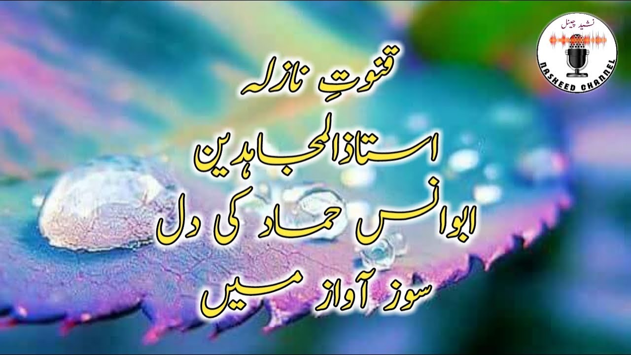 Qanoot e Nazla Abu anas Hammad - YouTube