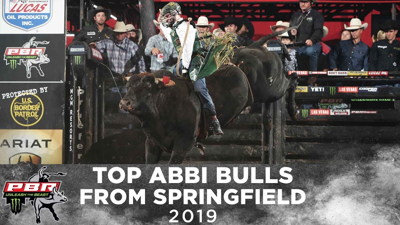 Top Bulls from Round 1 from Springfield | 2019 - YouTube